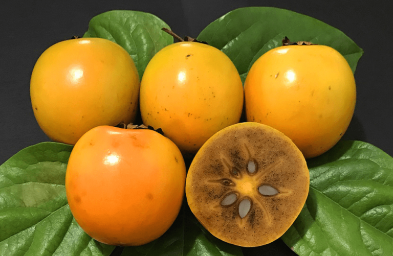 Os 4 Caquis do Brasil | Molicenter Supermercado