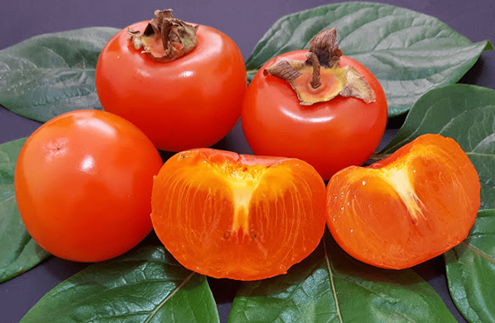 Os 4 Caquis do Brasil | Molicenter Supermercado