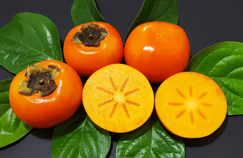 Os 4 Caquis do Brasil | Molicenter Supermercado