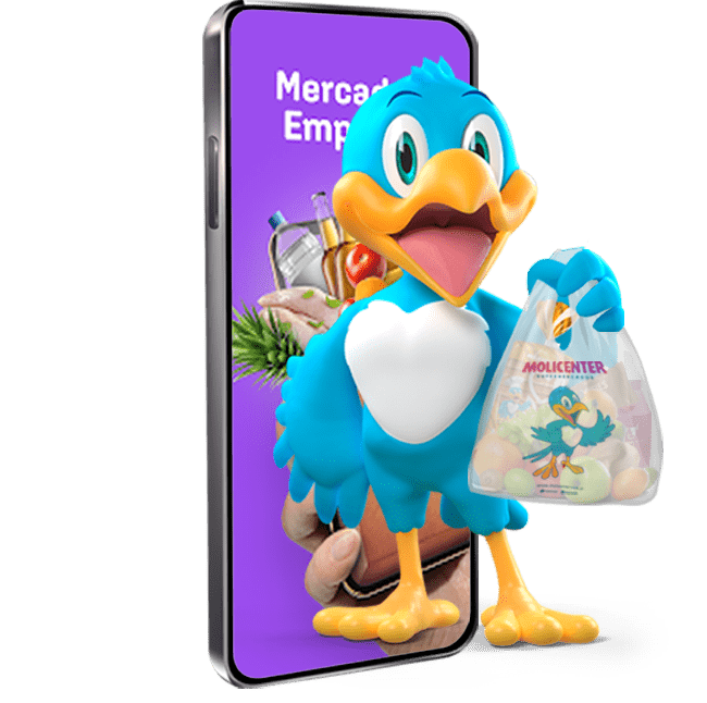 Início - Molicenter Supermercado